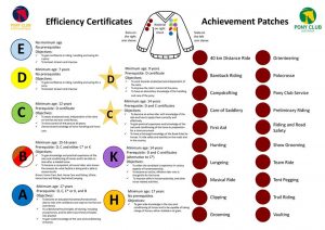 Certificates, Badges & Patches - Globe Derby Pony Club
